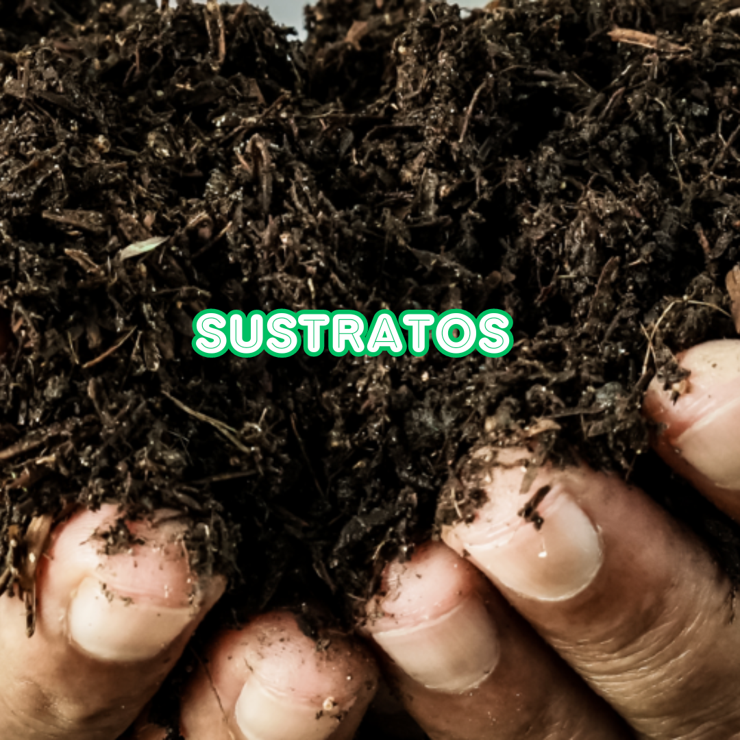 Sustratos